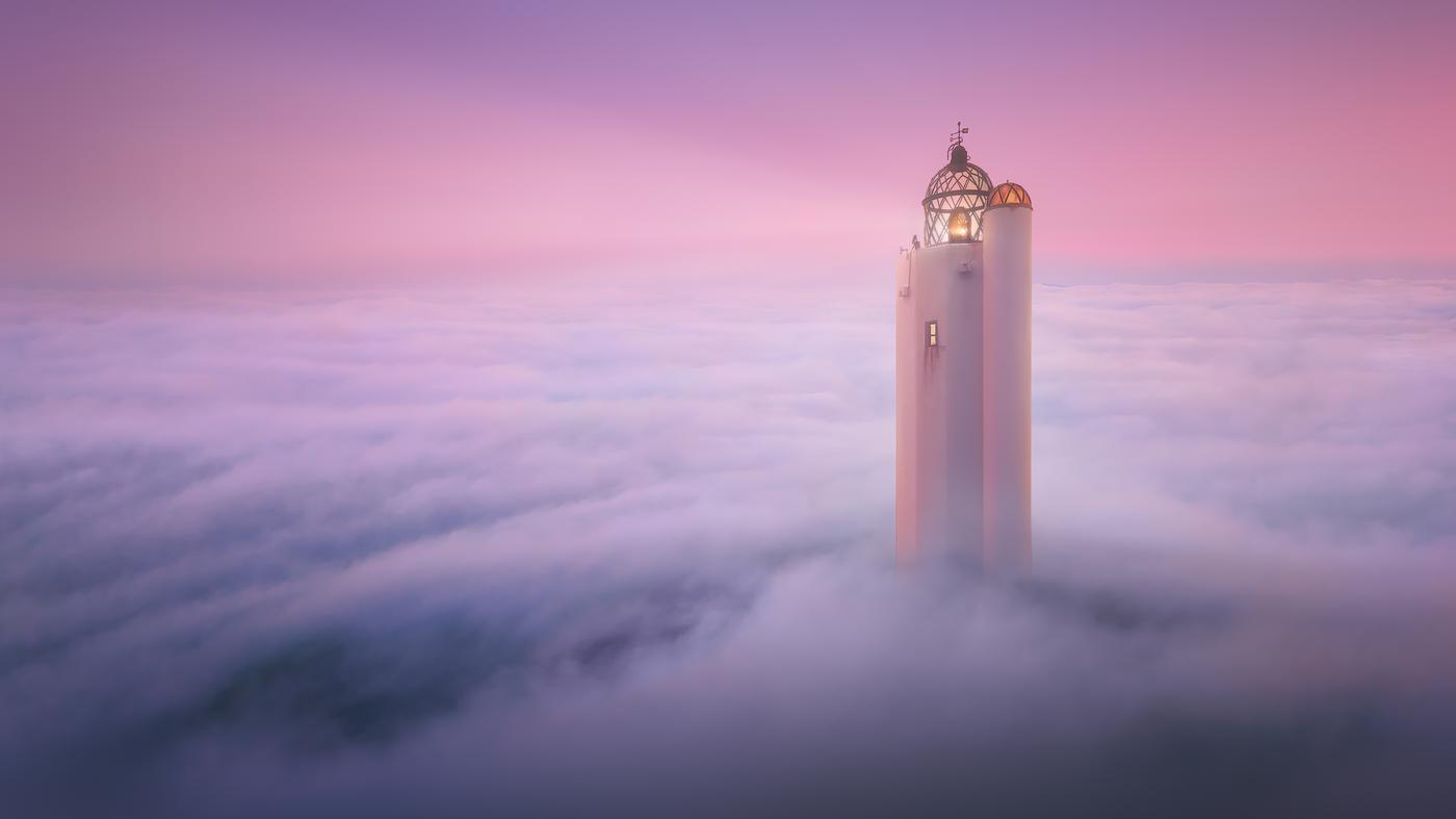 Wer lebt eigentlich im Elfenbeinturm?: Die Kulturgeschichte eines Kampfbegriffs