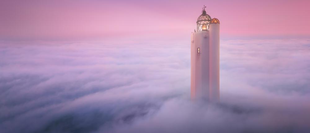 Wer lebt eigentlich im Elfenbeinturm?: Die Kulturgeschichte eines Kampfbegriffs