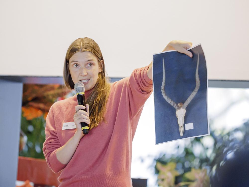 Forschungscampus Dahlem: Wo Museen neue Fragen stellen