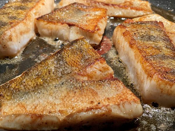 Kurve Shake Hat verloren fisch in der pfanne richtig braten bereuen ...