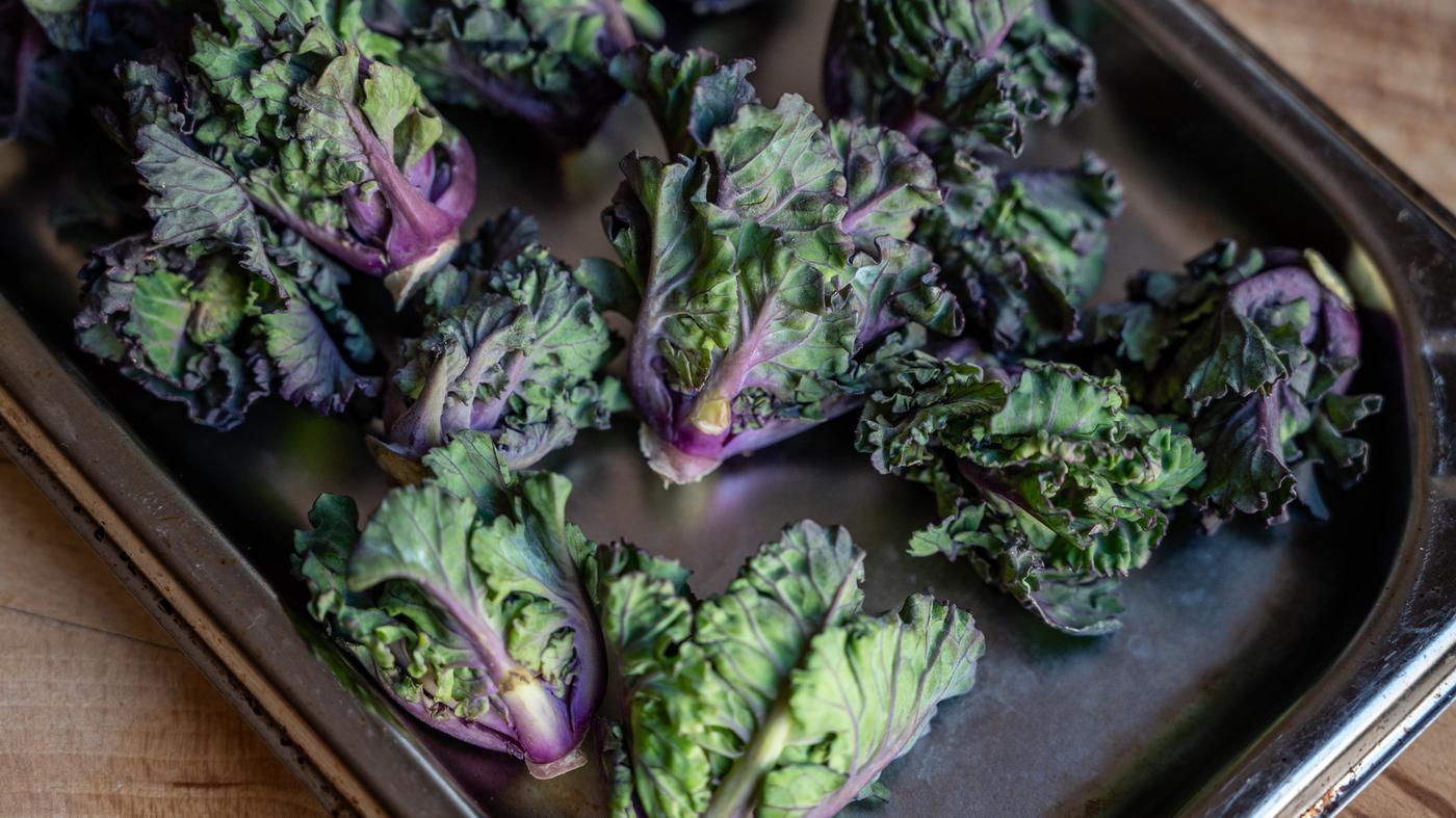 Buntes Winterwunder: Flower Sprouts, der neue Mini-Kohl mit Biss