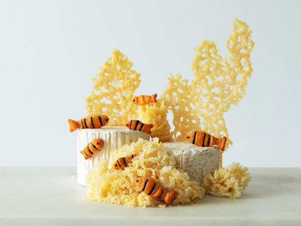 Mit Essen spielt man doch: Optische Täuschungen, die den Tisch verzaubern