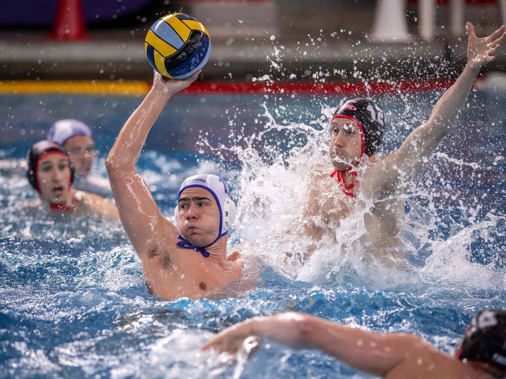 Hochspannung im Wasserball-Finale: Spandau 04 gewinnt gegen Hannover ...