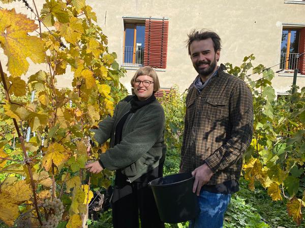 Kreuzberger Wein: Markenname noch geheim