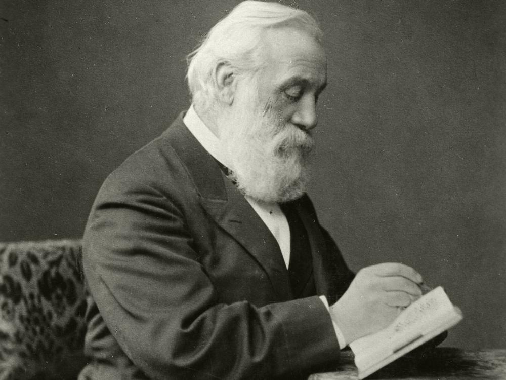 Pionier des Dachgartenbaus: So warb Mauermeister Carl Rabitz 1867 für ...