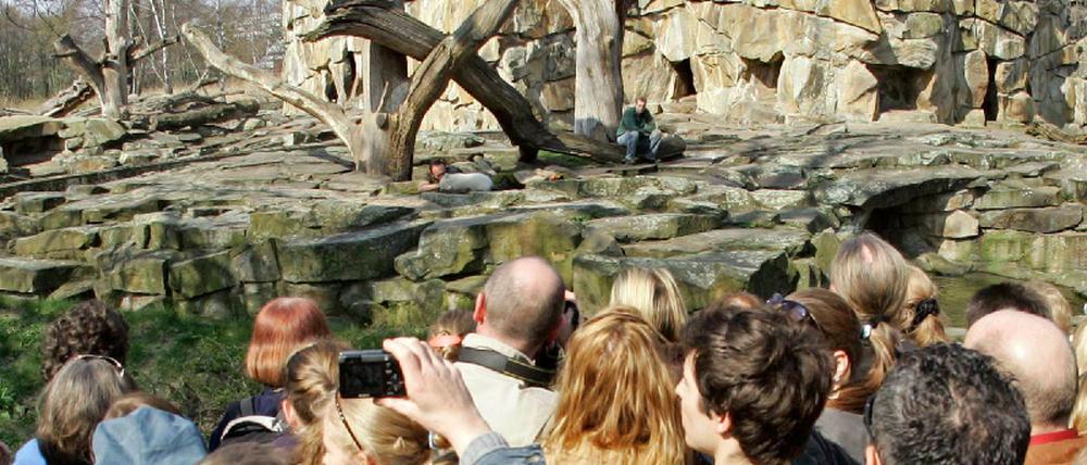 Berliner Zoo: Ende der "Knut-Show"