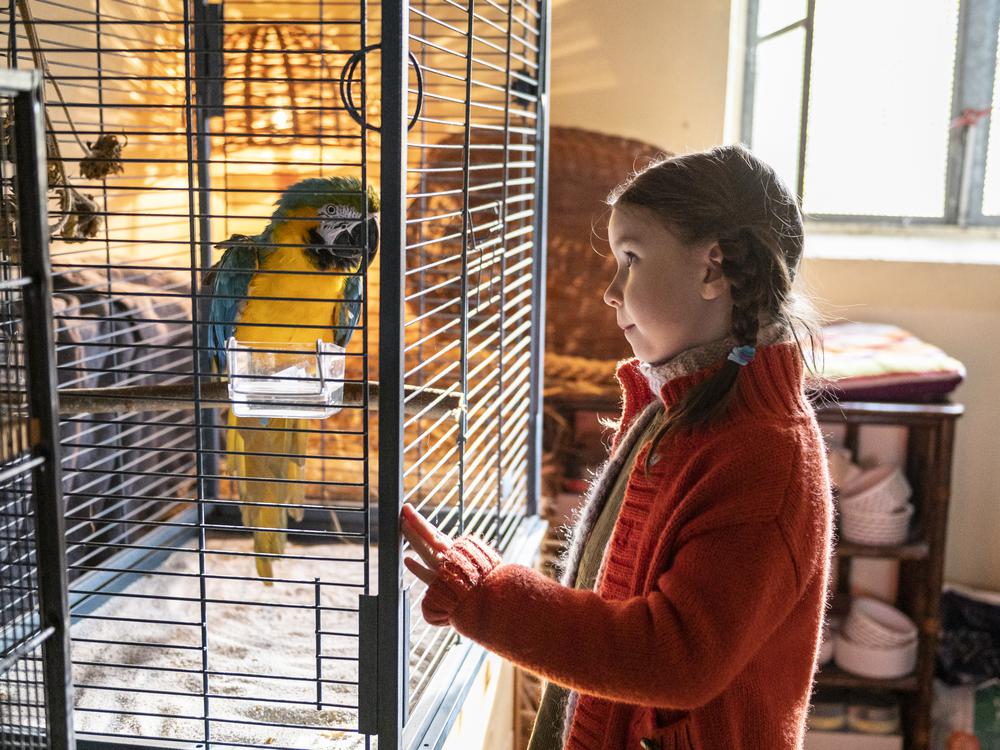 Schlachthaus, Fascho-Papagei und Vögel(n): Die besten und schlechtesten ...
