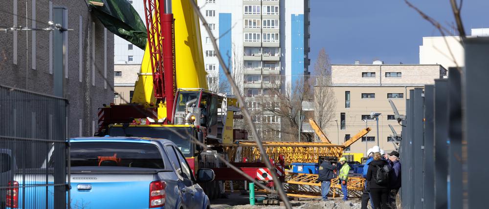Nach Kran-Unfall in Potsdam: Kunstdepot bekommt Wetterschutz