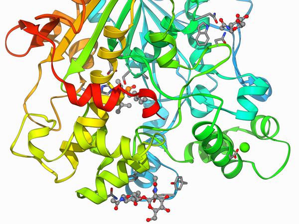 Enzyme für nachhaltige Zukunft: „Statt auf Verzicht müssen wir auf neue ...