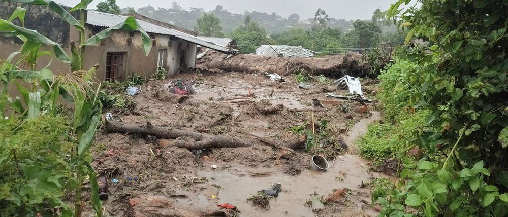 Verheerende Folgen durch Zyklon „Freddie“: Amnesty fordert ...