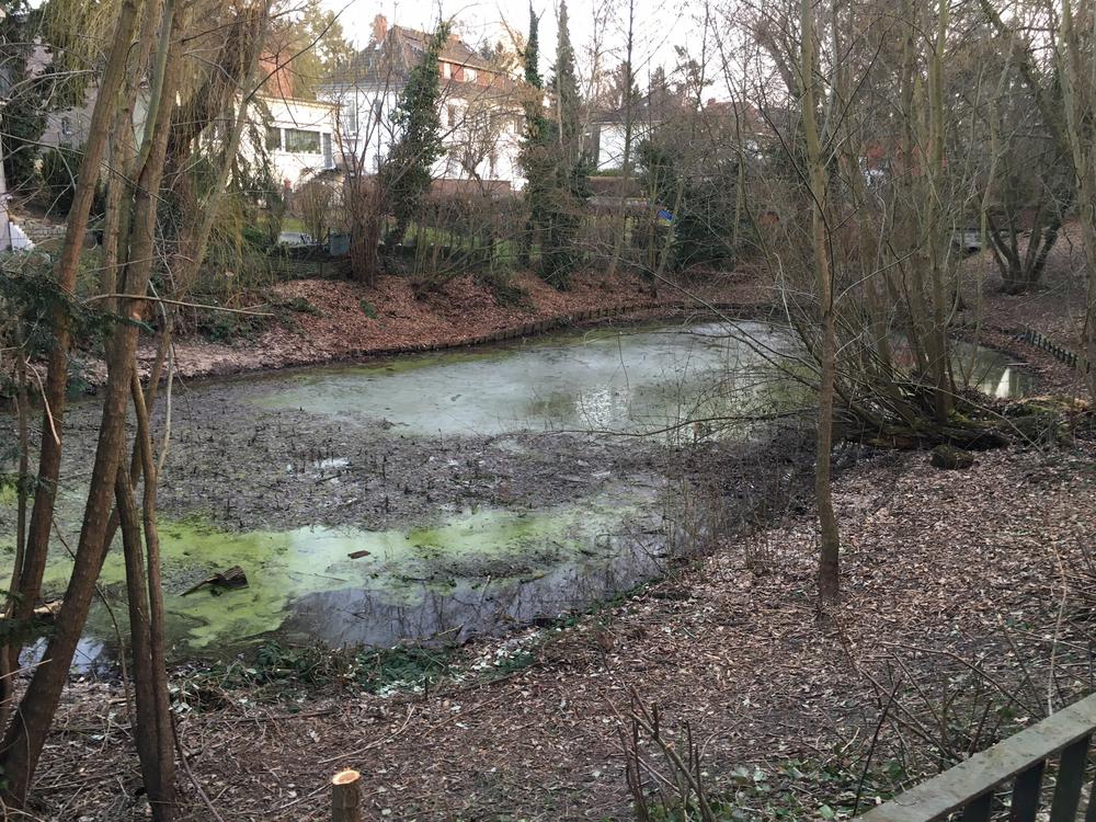 Einzahlen ins „Ökokonto“: Berlin sucht nach Ausgleichsflächen für ...