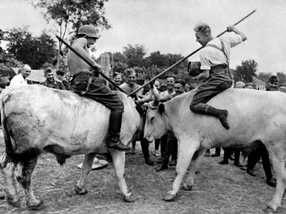 NS-Schatten über der Humboldt-Universität: Verstrickung in „Generalplan ...