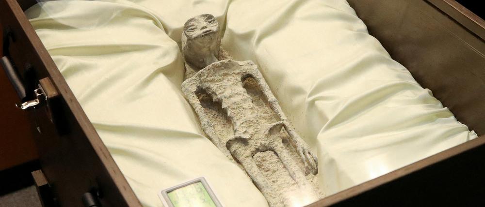 „Nicht-menschliche Wesen“: Angebliche Alien-Mumien im mexikanischen Parlament vorgeführt