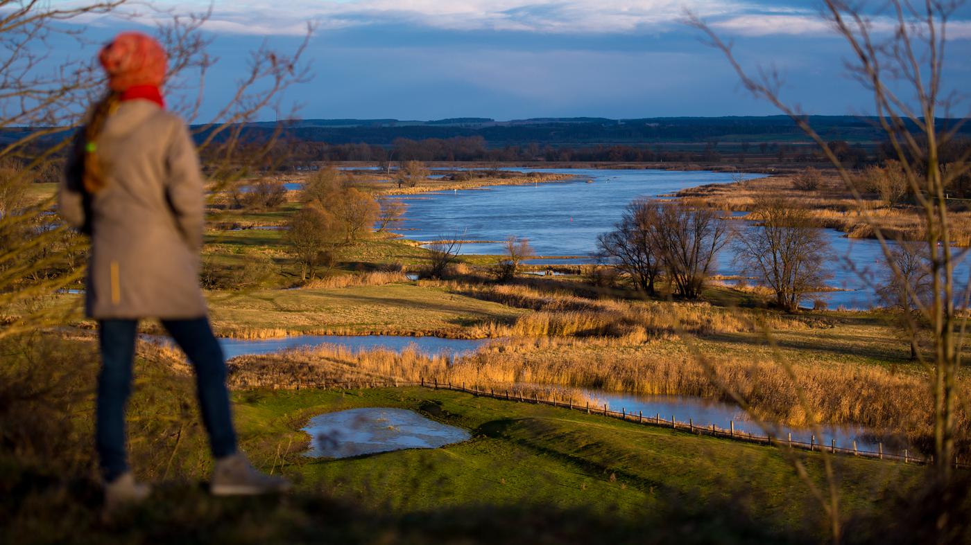 Brandenburg wirbt um Zuzügler: Viel Wasser, schöne Landschaft, nette ...
