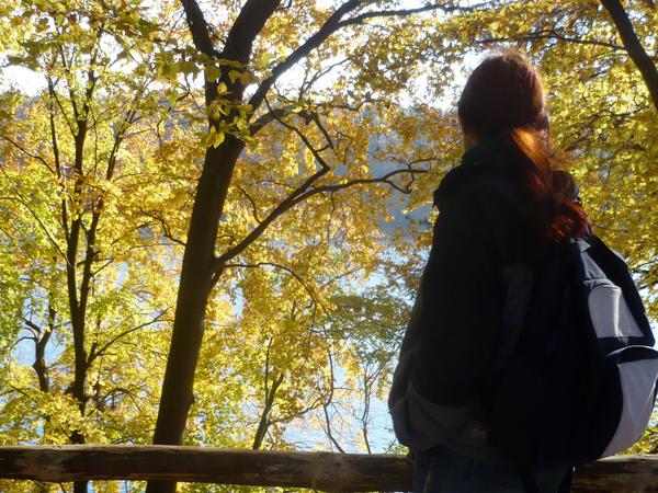 Karneval in Kreuzberg, Raubzüge im Westen: Das unheimliche Leben der ...