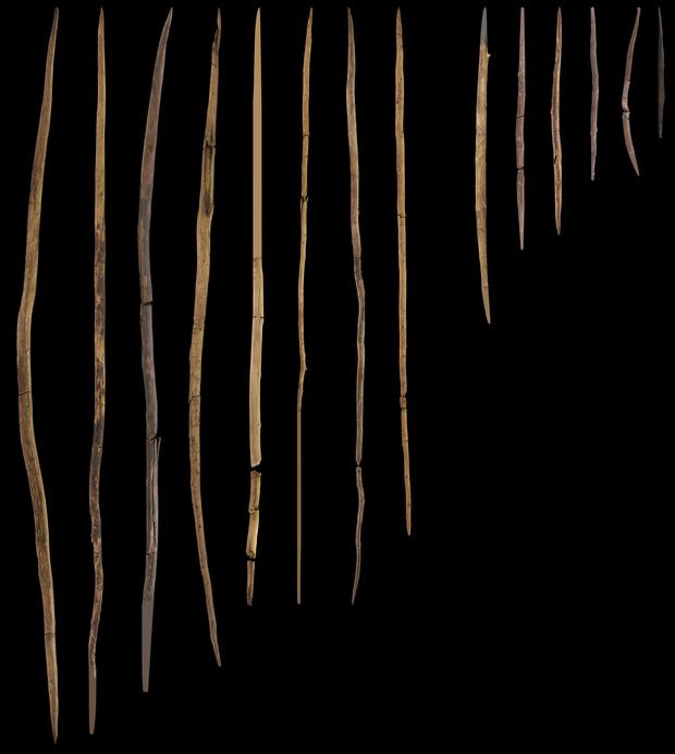 Steinzeit-Speere aus Schöningen: Neue Analysen revolutionieren Blick ...