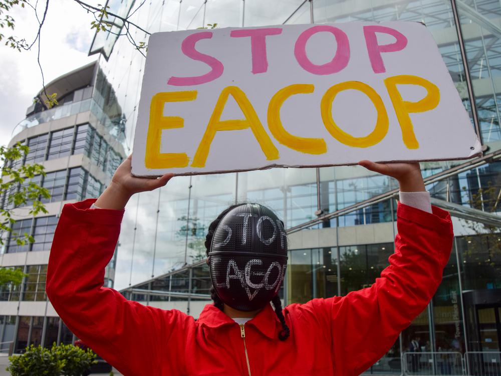 Gegen die Klimakrise: Warum Deutsche Bank & Co. viel mehr tun können