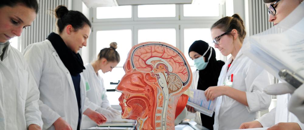 Milliarden-Projekt in Cottbus: Brandenburg will neue Medizin ...