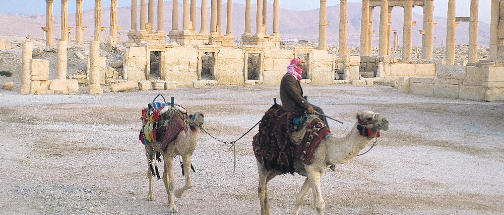 Syrien: Auf Säulen gebaut