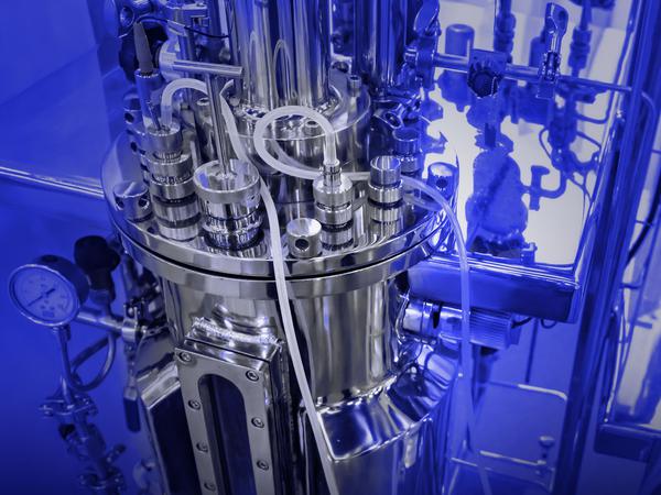 Würstchen und Schnitzel aus dem Bio-Reaktor: Erstes Zulassungsverfahren ...