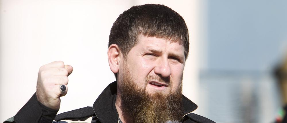 Nach Prügelattacke des Jugendlichen: Kadyrow-Sohn wird Sicherheitschef ...