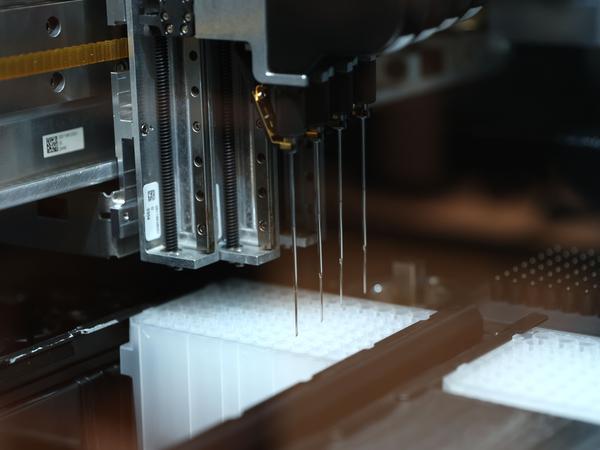 Heute vor 39 Jahren: Ein trauriger Genius erfindet die PCR