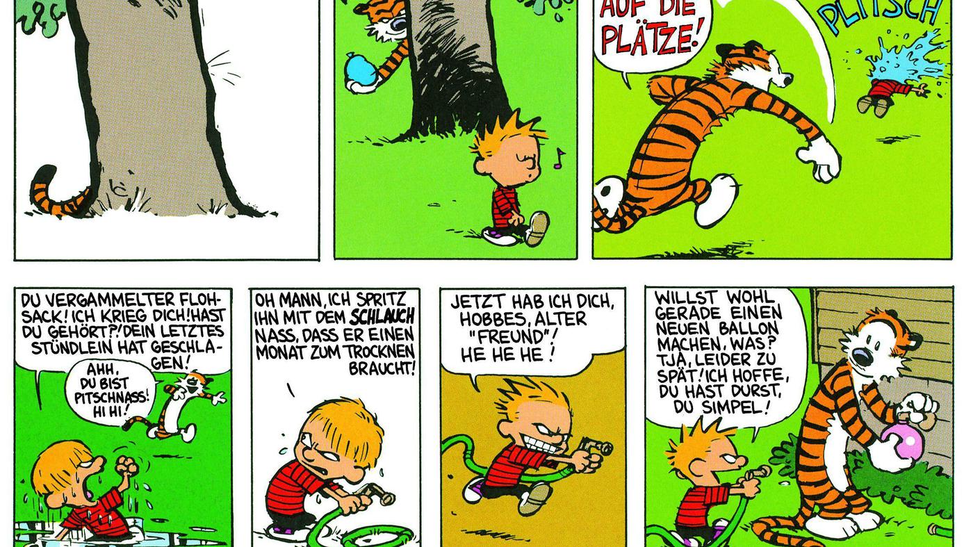 Calvin und Hobbes: Freunde fürs Leben