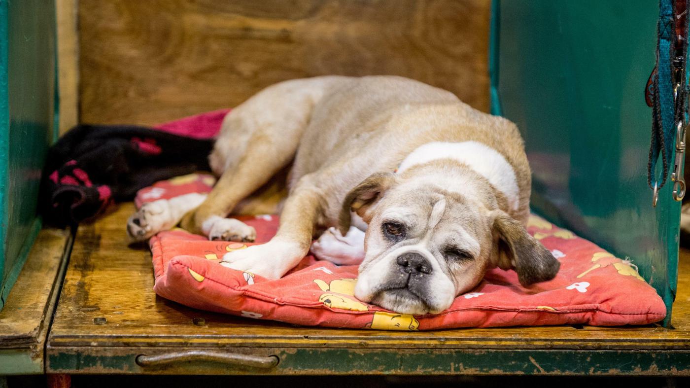 Die Krise als Dauerzustand: Warum der zweite Lockdown uns lethargisch macht