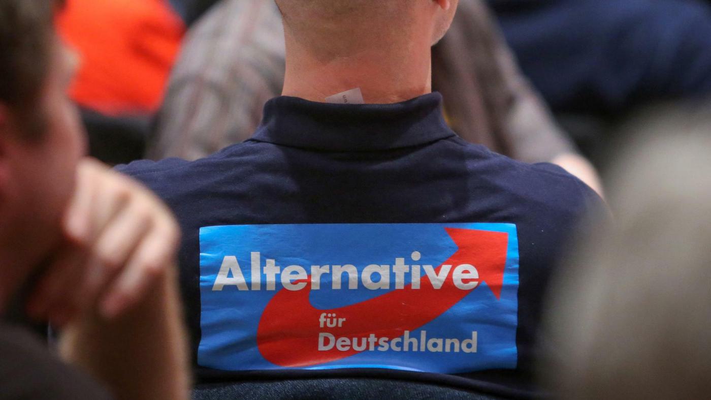 Alternative für Deutschland: AfD-Jugend verbündet sich mit Putins ...