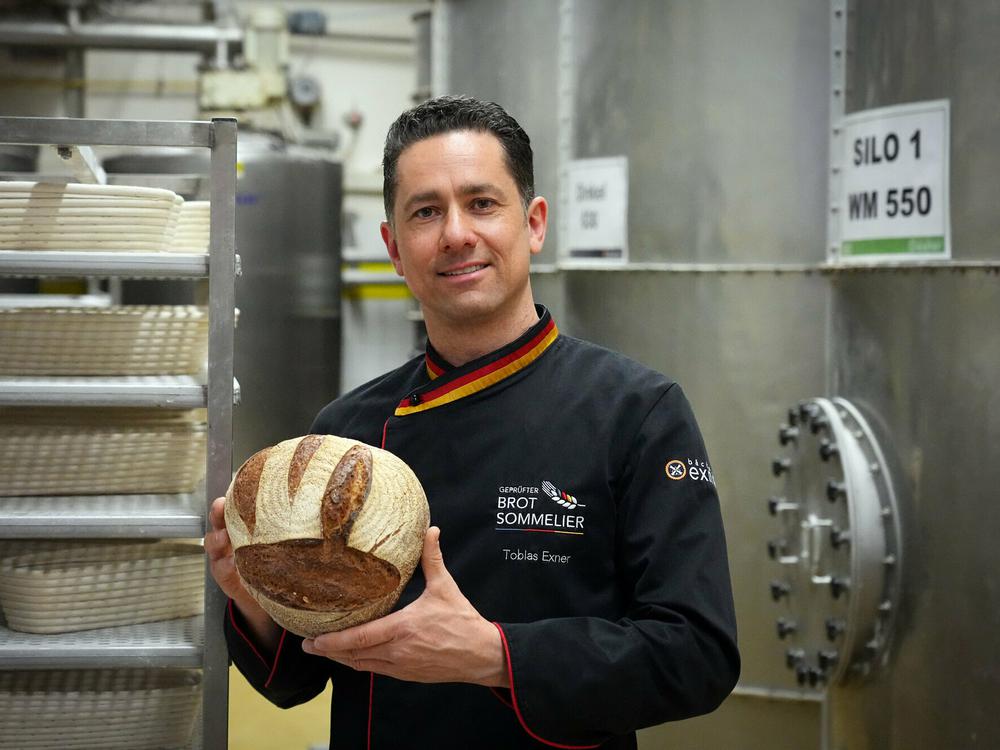 Minister gospodarki Steinbach wlewa „czyste wino” do brandenburskich ...