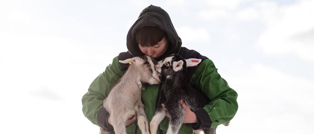 „Man braucht starke Nerven!“: Chefin eines Brandenburger Ziegenhofs ...