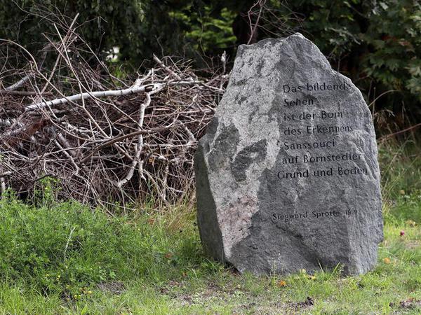 Von Sylt zurück nach Potsdam: Was die Sprotte Stiftung in Bornstedt vorhat