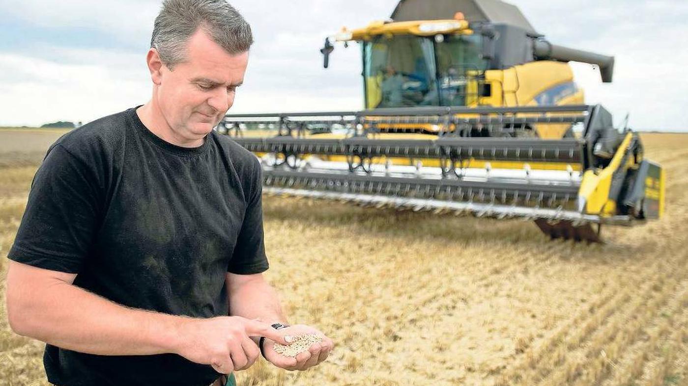 Landwirtschaft: Für eine Handvoll Körner