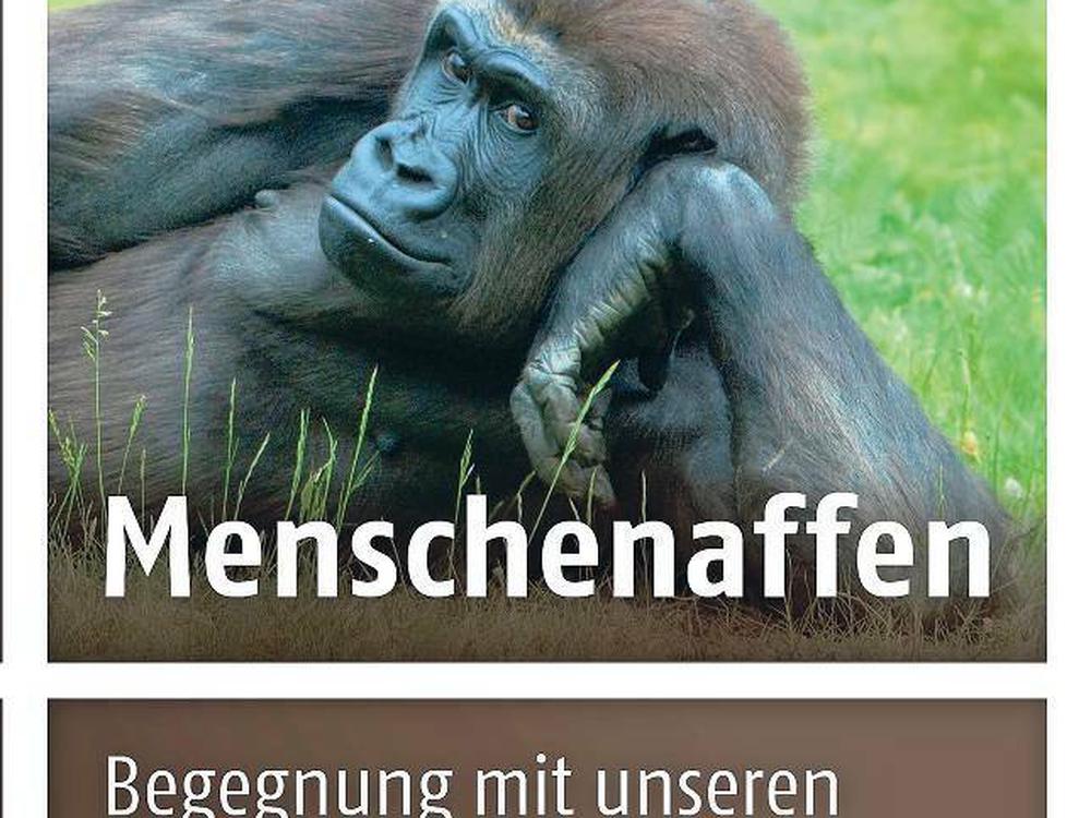 Primatenforschung: Von Menschen und Affen