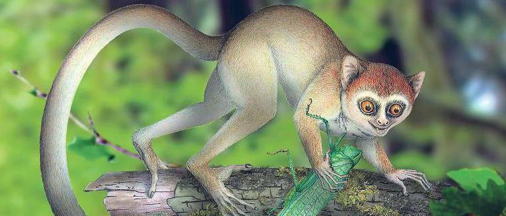 Paläontologie: Vetter aus der Vorzeit