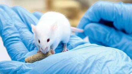 Alle Tagesspiegel-Artikel vom 12.05.2014