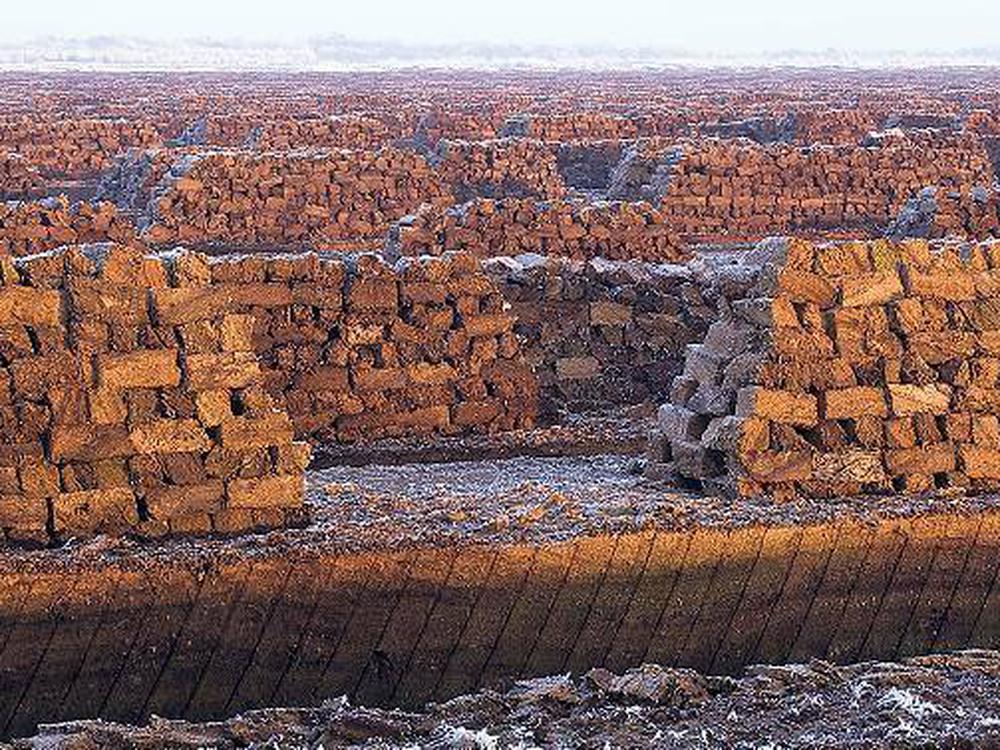 Klimaschutz: Mehr Moor