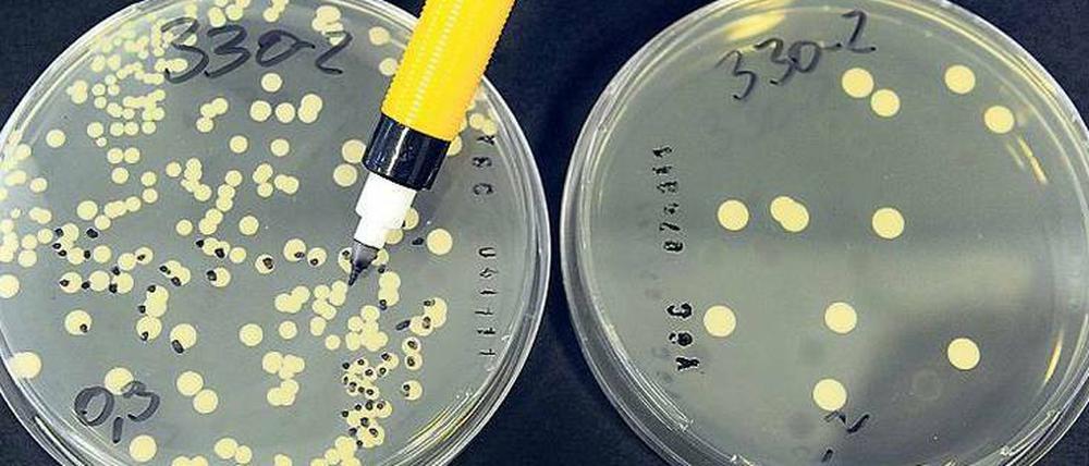 Molekularbiologie: Auf dem Weg zum künstlichen Leben