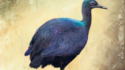 Alle Artikel in „Wissen“ vom 13.05.2020