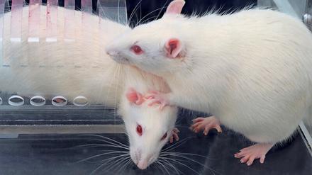 Alle Artikel in „Wissen“ vom 09.07.2020