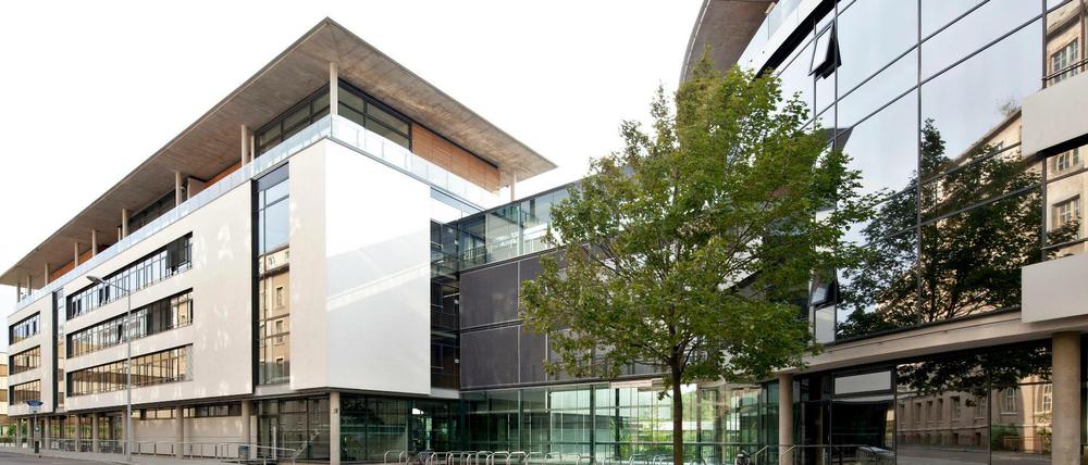 Machtmissbrauch in der Wissenschaft: Max-Planck-Forscherin nennt ...